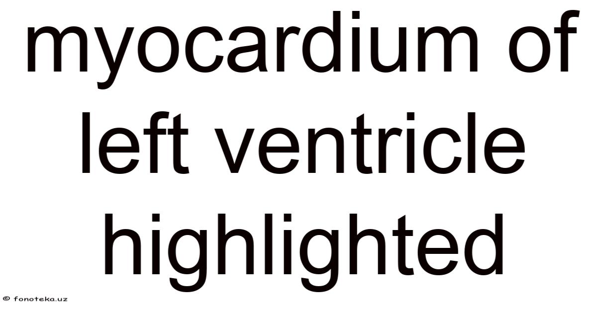 Myocardium Of Left Ventricle Highlighted